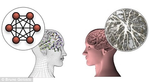 Biological Neurons VS AI Neurons (The Perceptron) | Mohamed Gad